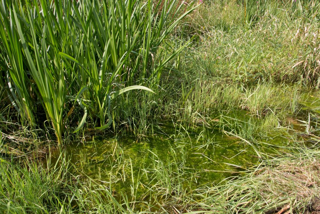 Neuer Graben offiziell eröffnet – Arge Nister