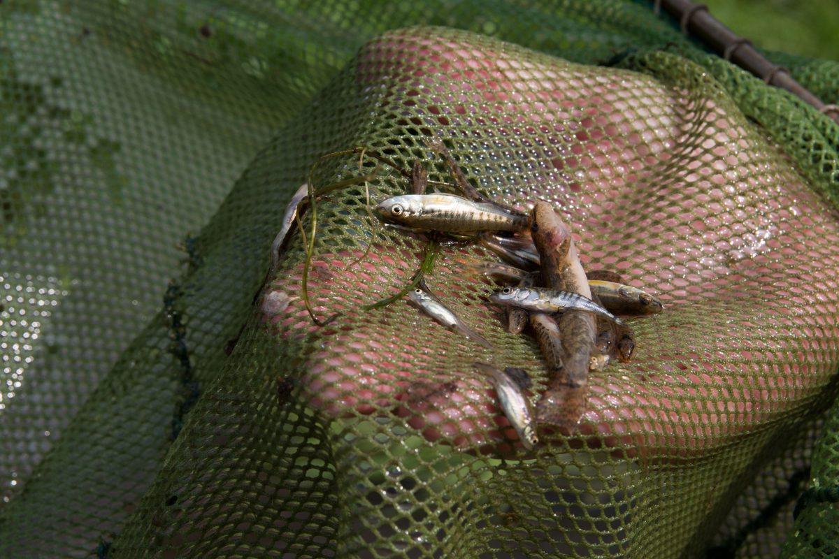 Neuer Graben offiziell eröffnet – Arge Nister